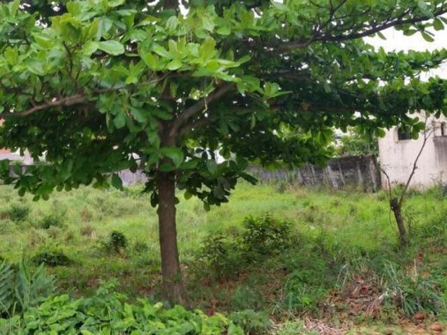 Terreno Residencial à venda na Enseada Guarujá
