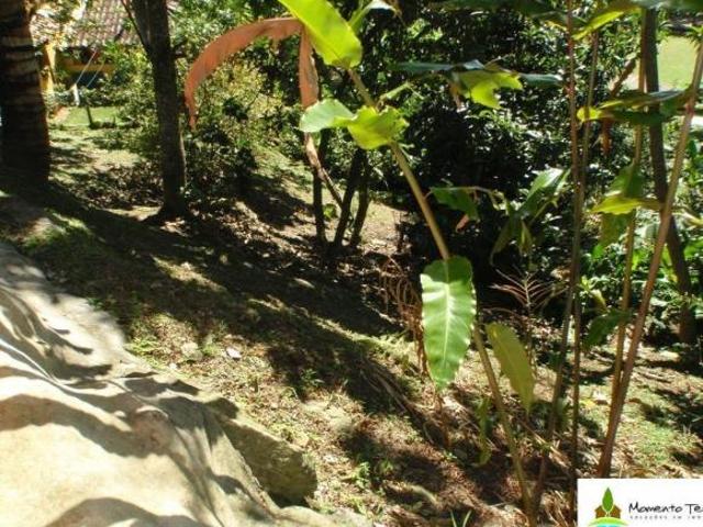Terreno residencial à venda, Ponta da Sela, Ilhabela TE0127