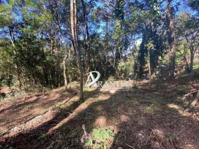 Terreno Residencial à venda, Portão, Atibaia TE0092
