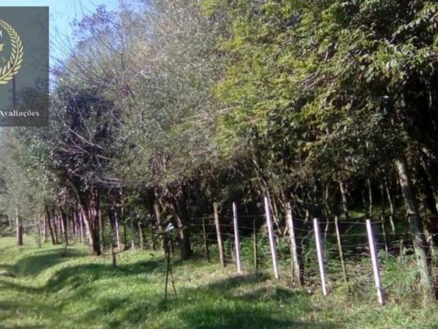 Terreno residencial à venda, Passo do Vigário, Viamão