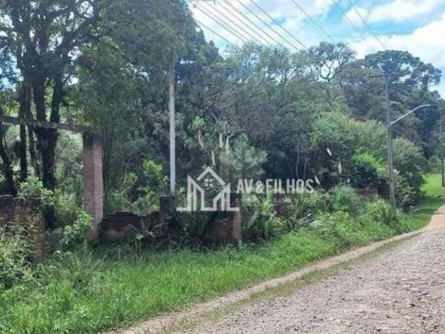 Terreno Residencial à venda, Vila Franca, Piraquara TE0057