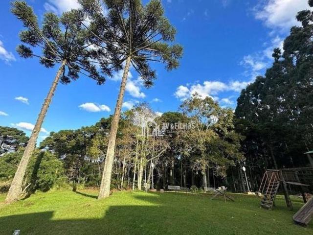 Terreno Residencial à venda, Vila Fuck, Piraquara TE0020