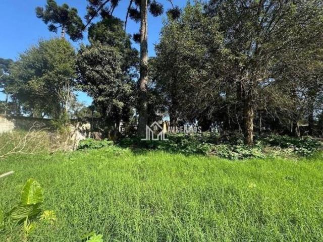 Terreno Residencial à venda, Vila Juliana, Piraquara TE0069
