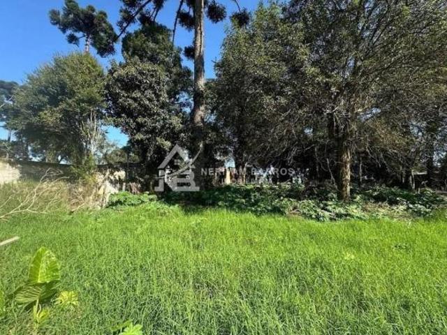 Terreno Residencial à venda, Vila Juliana, Piraquara TE0069