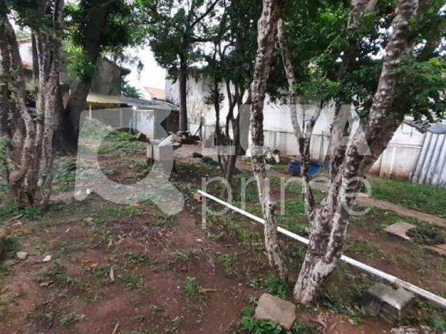 TERRENO RESIDENCIAL COM 780M² PARA VENDA, SANTANA, SÃO PAULO