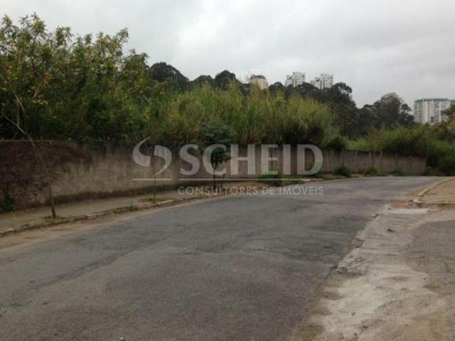 Terreno residencial com 2148m2, todo plano e zoneamento ZM em ótima localização no Morumbi
