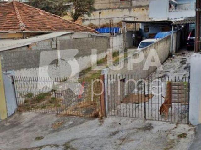 TERRENO RESIDENCIAL COM 284M² PARA VENDA, VILA MARIA ALTA, SÃO PAULO