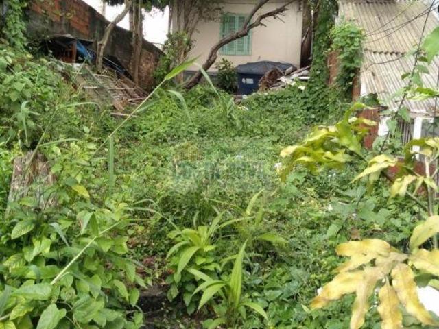 Terreno residencial com 320 m² à venda na Vila Maria Alta, para construir ou revitalizar