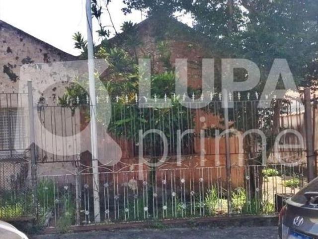TERRENO RESIDENCIAL COM 390M² À VENDA NA VILA MARIA