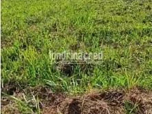 Terreno residencial de 250m² no Jardim Columbia D, próximo à UEL, com fácil acesso à PR 445, excelen