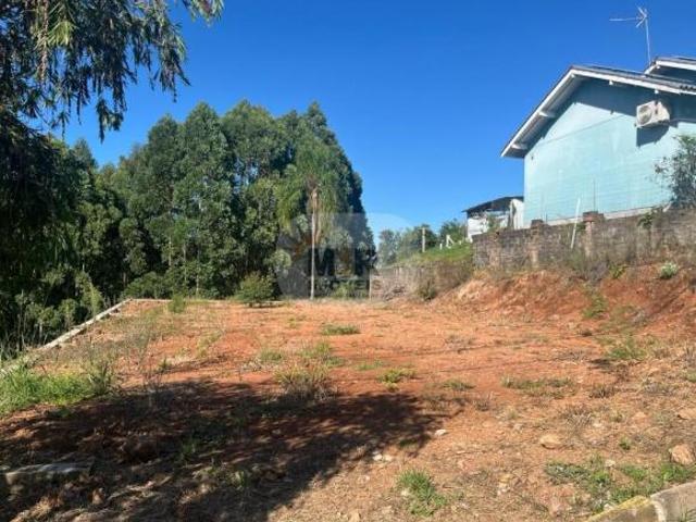 Terreno, Residencial dos Platanos, Nova Petrópolis, RS