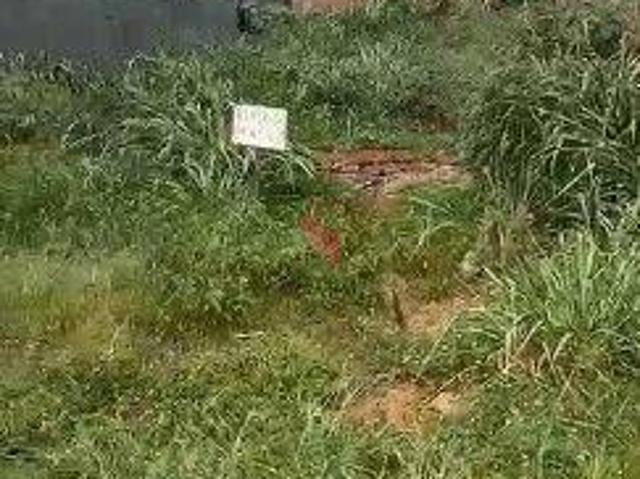 Terreno Residencial e Comercial à Venda de 165m² no Bairro Parque das Gaivotas em Ribeirão Preto