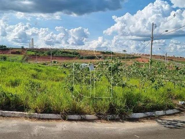 Terreno Residencial em Antenor Barion Marília
