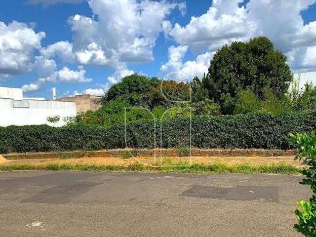 Terreno Residencial em Jardim Cavallari Marília