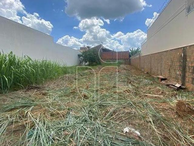 Terreno Residencial em Jardim Morumbi Marília