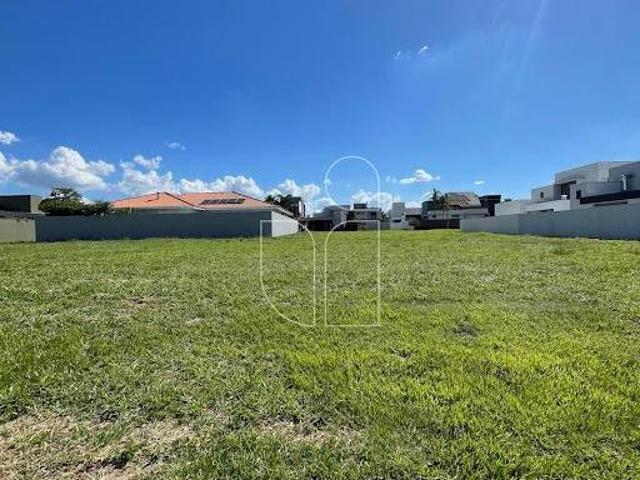 Terreno Residencial em Jardim São Domingos Marília, SP