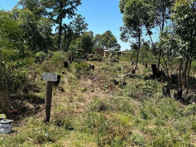Terreno Residencial em Lageado