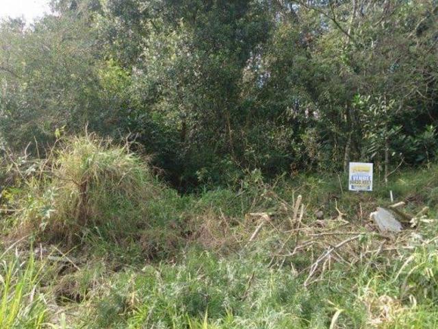 Terreno Residencial em Lomba do Pinheiro