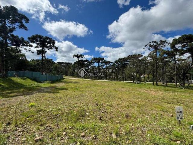 TERRENO RESIDENCIAL EM LOTEAMENTO NOVO DE CANELA!