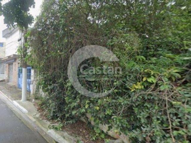 Terreno Residencial em Parque São Lucas