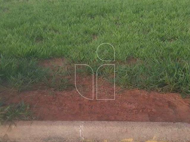 Terreno Residencial em Parques das Flores Marília
