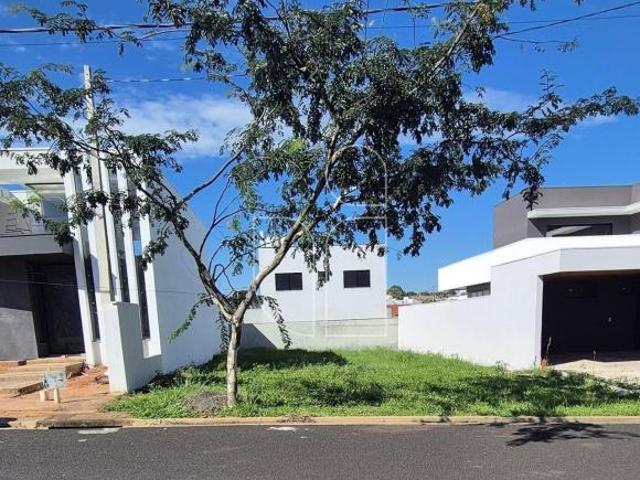 Terreno Residencial em Residencial Vale Verde Marília, SP