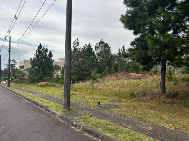 Terreno Residencial em Santa Isabel