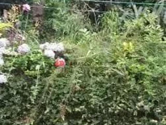 Terreno Residencial em Santo Antônio