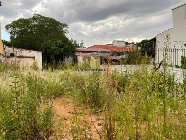 Terreno Residencial em Tristeza