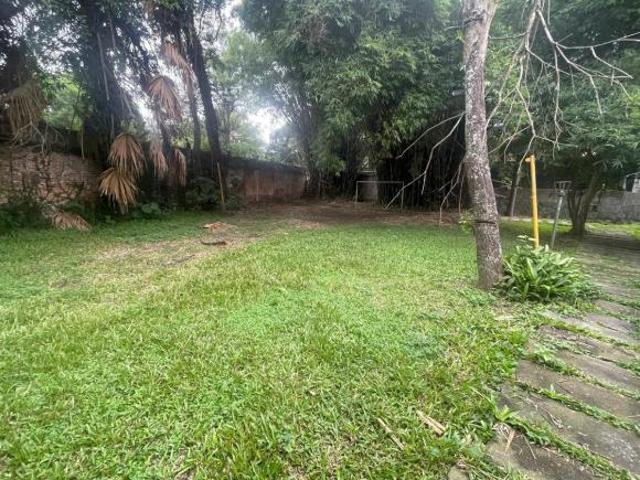 Terreno Residencial em VILA ALBERTINA