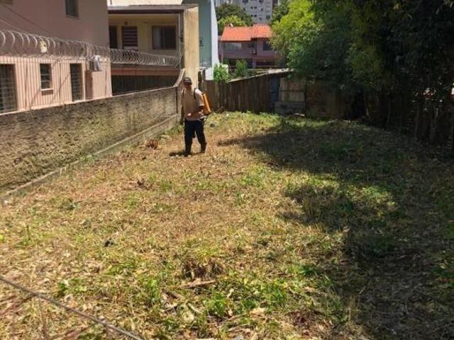 Terreno Residencial em Vila Ipiranga