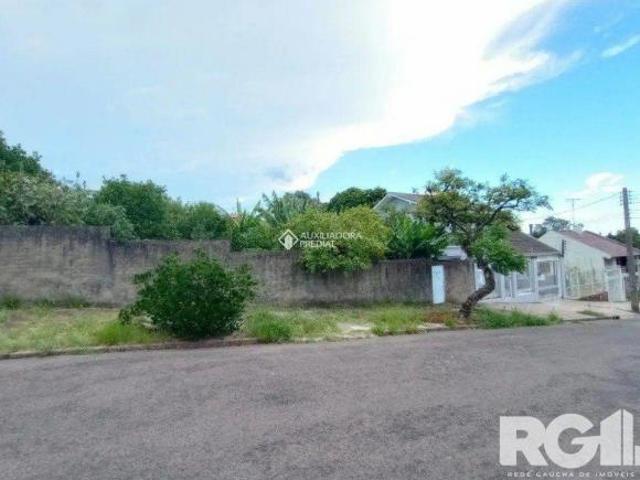 Terreno Residencial em Vila Ipiranga