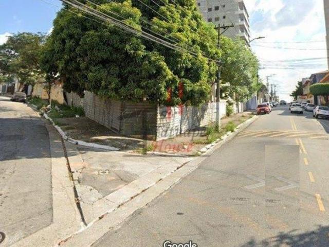 Terreno Residencial em Vila Matilde