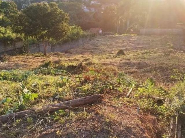 Terreno Residencial / Jardim Leonor