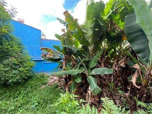 Terreno residencial para venda em Vila Gonçalves, 420m²