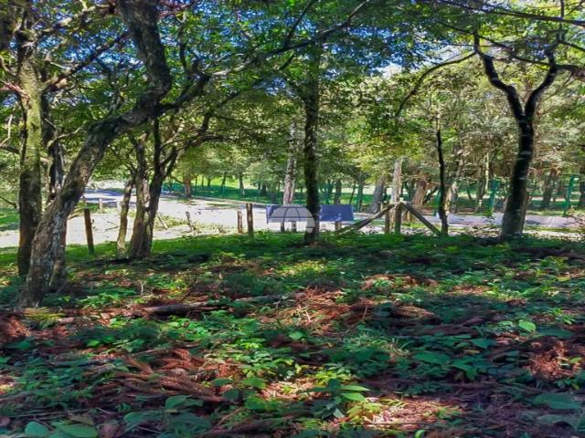Terreno Residencial para Venda no Bairro Aristocrata em São José dos Pinhais PR