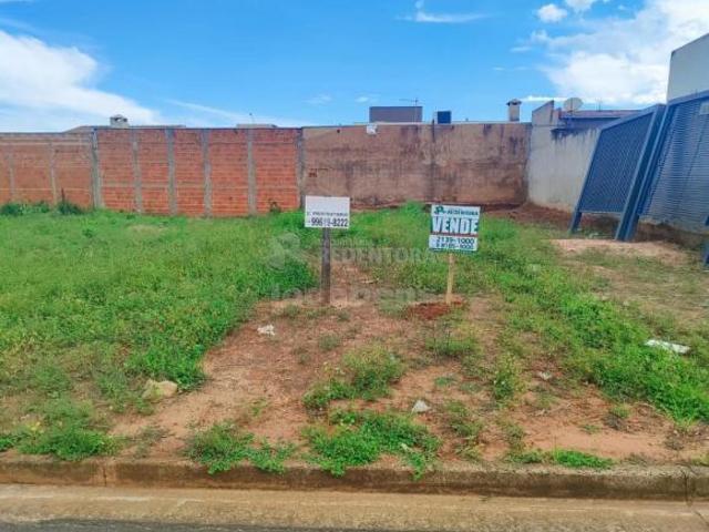 Terreno Residencial São Thomaz