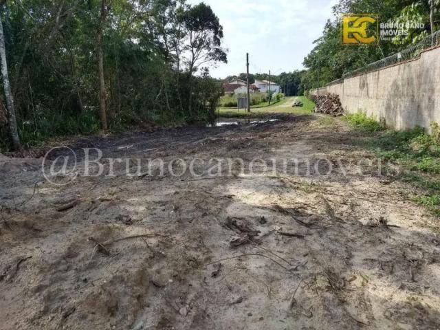Terreno Residencial São Luiz Peruíbe/SP