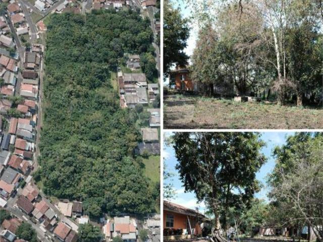 Terreno Residencial Santa Felicidade 9291 Metros