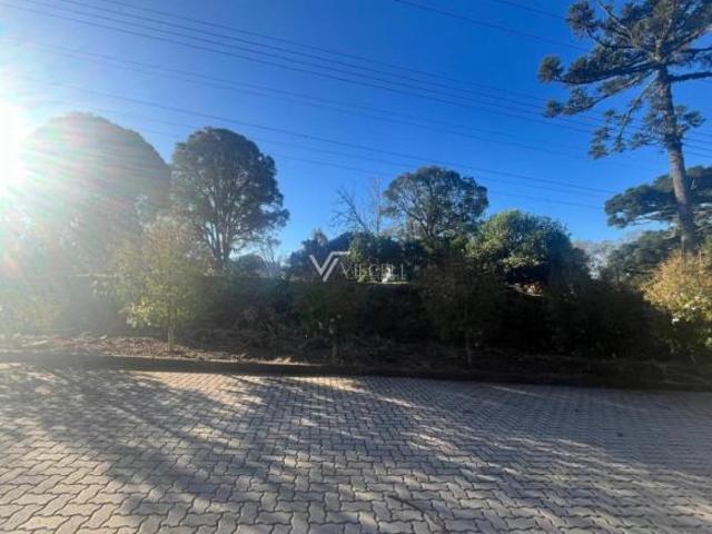 TERRENO RESIDENCIAL SANTO ANTÃO