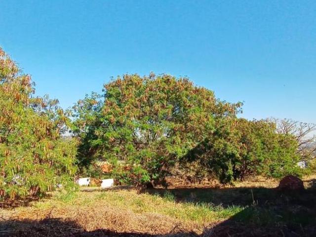 Terreno Residencial / Terras de Itaici / Indaiatuba SP