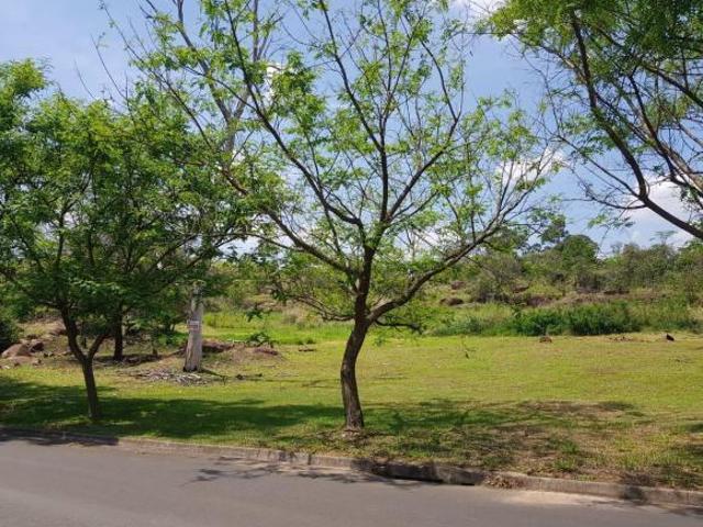Terreno Residencial / Vale das Laranjeiras / Indaiatuba SP