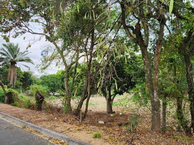 Terreno Residencial / Vale das Laranjeiras / Indaiatuba SP