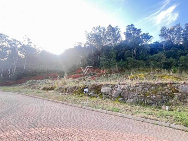 TERRENO RESIDENCIAL