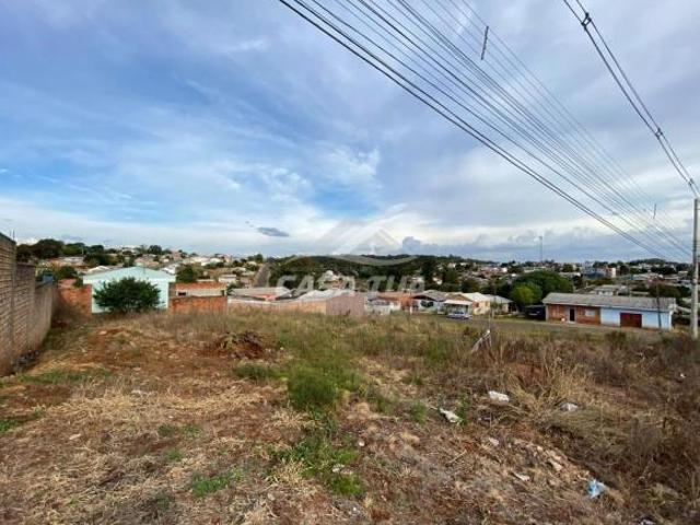 TERRENO RESIDENCIAL