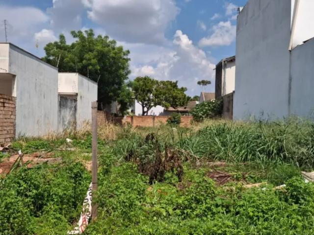 Terreno Residencial