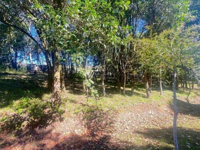 TERRENO RESIDENCIAL