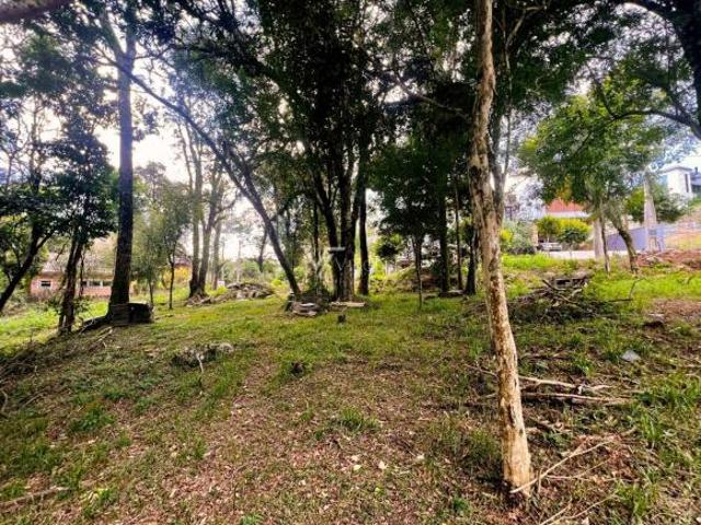 TERRENO RESIDENCIAL