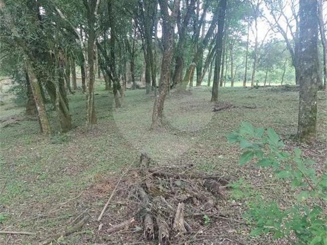 Terreno Residencial/Comercial Mato Dentro Almirante Tamandaré/PR 14519,2 m²