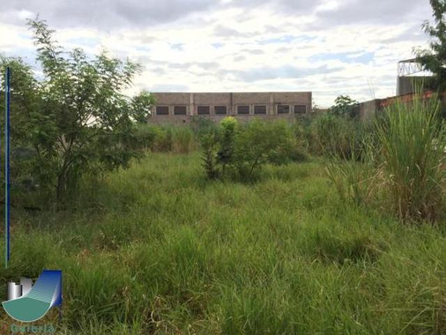 Terreno residencial/comercial à venda Rua Barretos Ribeirão Preto